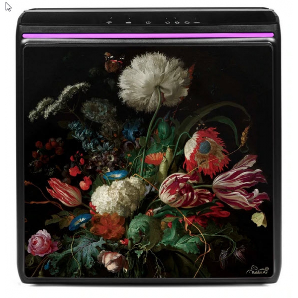 Rabbit AiA3 SPA-1000N Ultra Quiet HEPA Air Purifier | USAirPurifiers.com